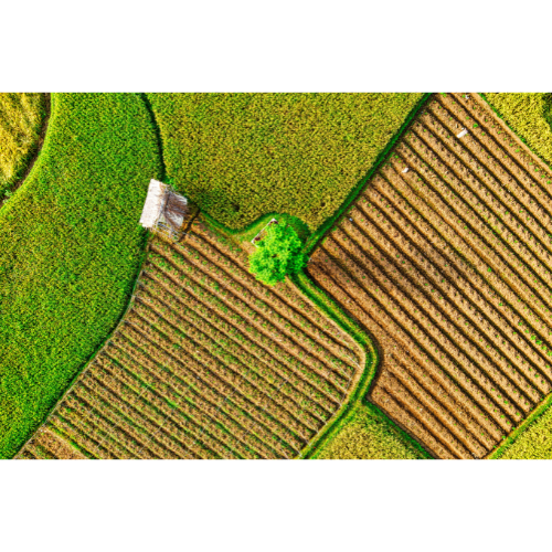 AgroSpace – Agrotechnology